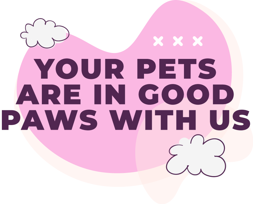 Services - Pink Paws